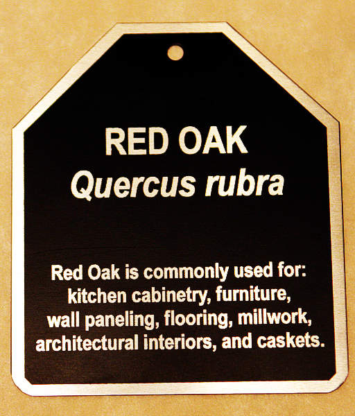 Fancy Tree Tag: Specialty Garden Markers